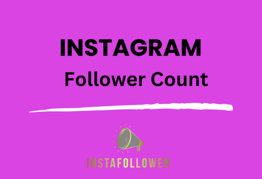 Instagram Follower Counts